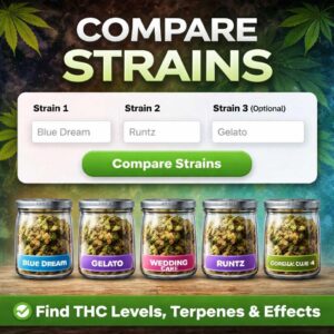 Larry OG Strain - Strainpedia